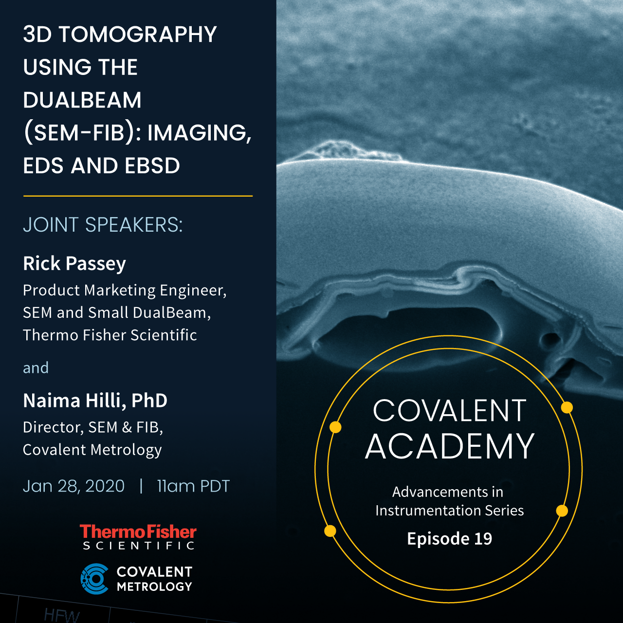 3D Tomography Using the DualBeam (SEM-FIB): Imaging, EDS and EBSD ...