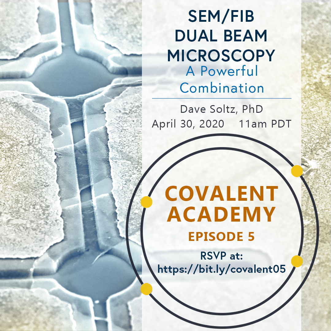 SEM/FIB DualBeam Microscopy: A Powerful Combination | Covalent Academy